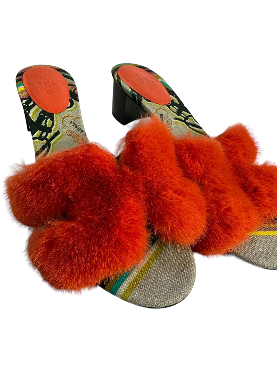 Hermes Papuce – Such A Tavan