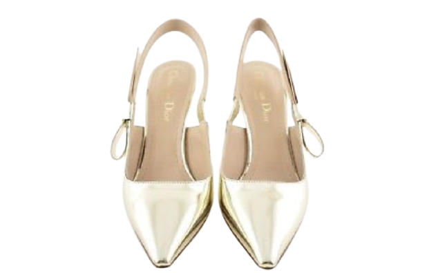 Christian Dior Cipele – Such A Tavan